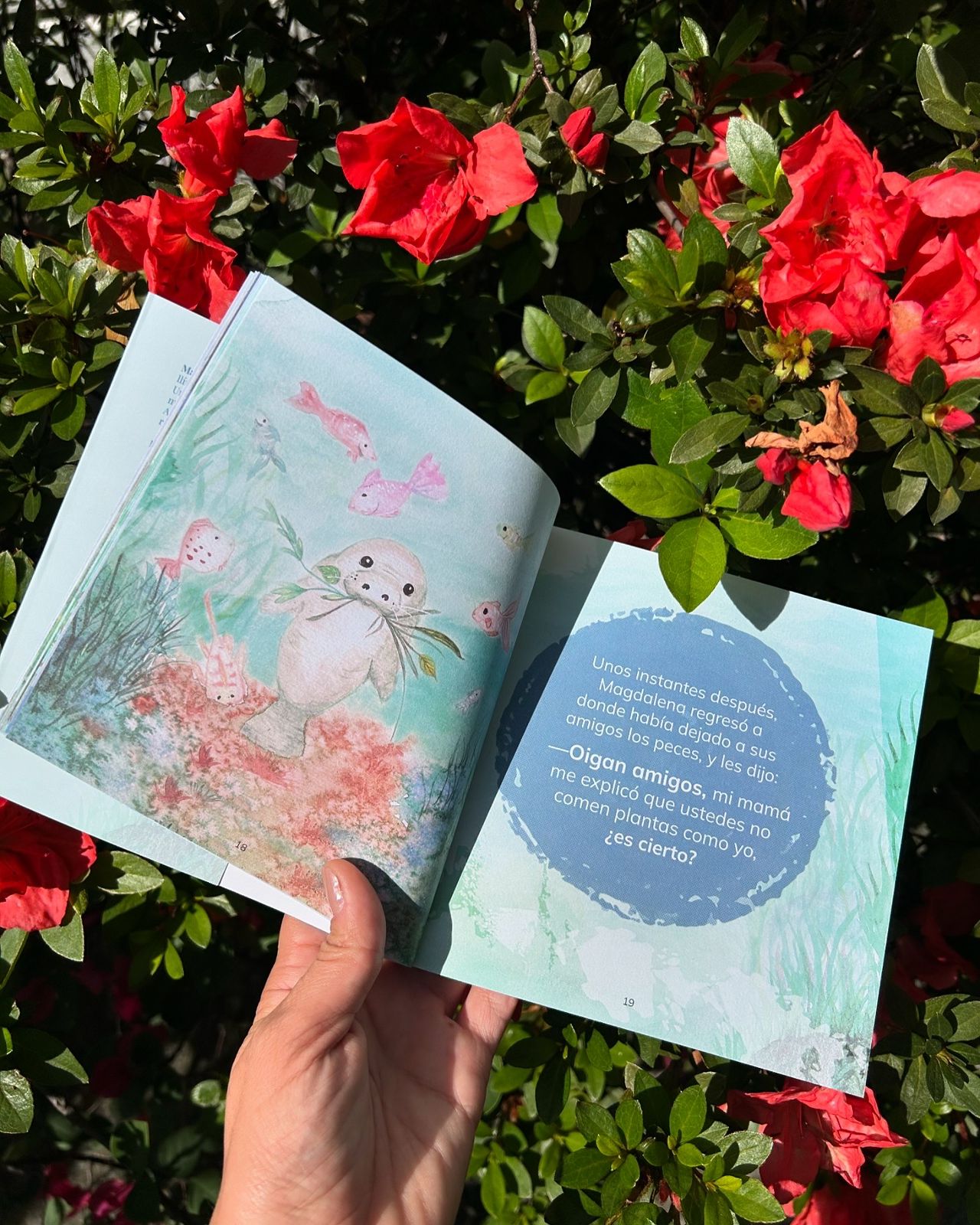 Cuento infantil "Magdalena, la manatí valiente"
